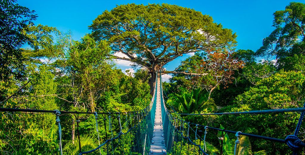 Ontdek Peru en het Amazonewoud - Puerto Maldonado - Tot -70% | Voyage Privé