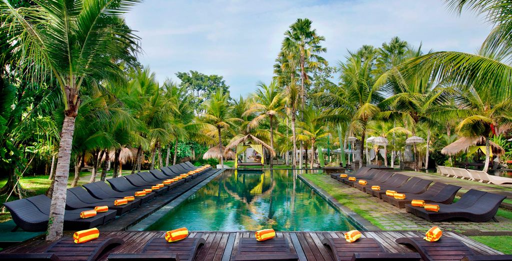 The Mansion Ubud 5* y The Westin Nusa Dua 5* - Ubud - Hasta -70% ...