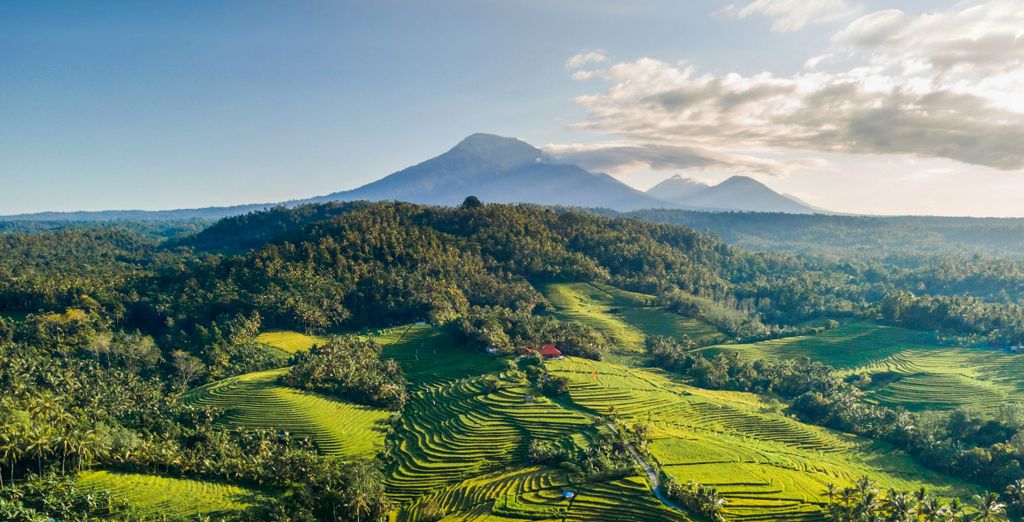 Circuit en liberté : Le meilleur du pays - Bali - Jusqu'à -70% | Voyage ...