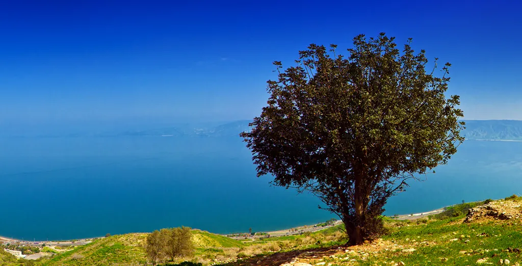 Circuit "Premiers pas en Israël" 8 jours/7 nuits en hôtels 4* (normes ...