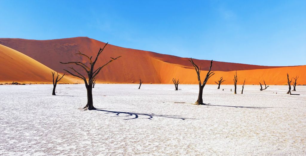Tour in auto o tour privato: La Namibia da non perdere - Namibia - Fino ...