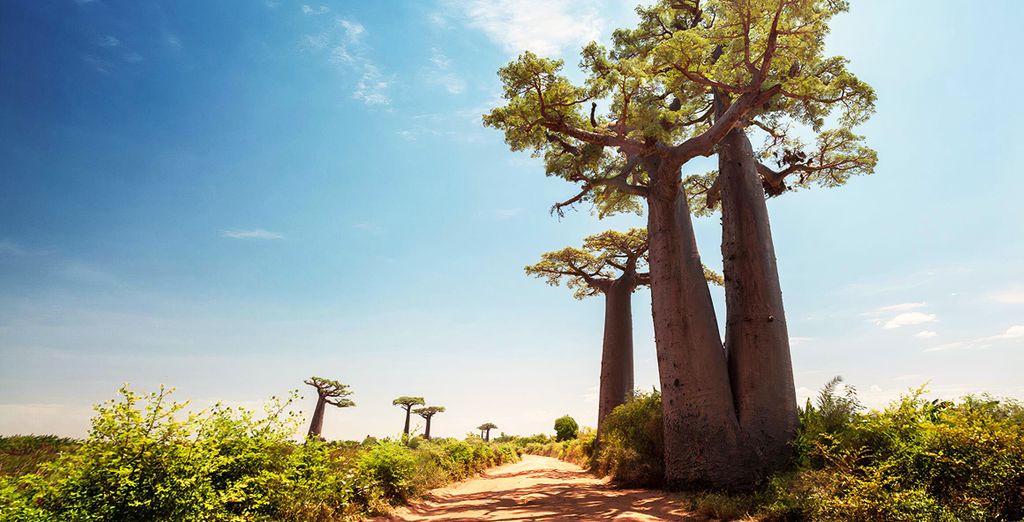 Tour di gruppo: Alla scoperta di paesaggi incredibili e fauna locale ...