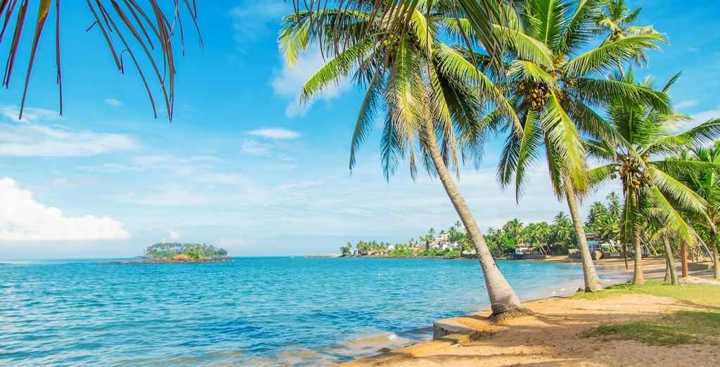 The Calm Resort & Spa 5* - Passikudah - Up to 70% off | Voyage Privé