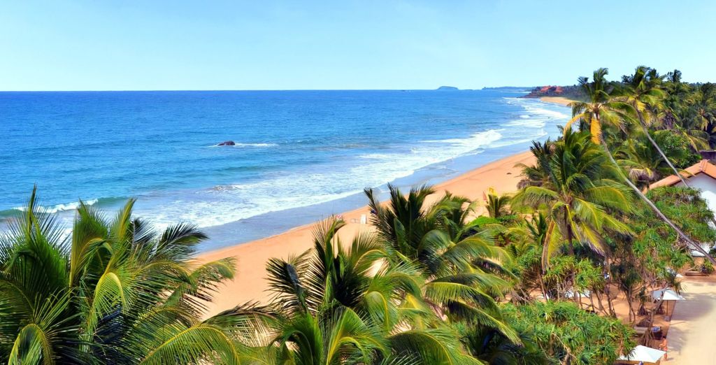 Pandanus Beach Resort & Spa 5* - Bentota - Up to 70% off | Voyage Privé