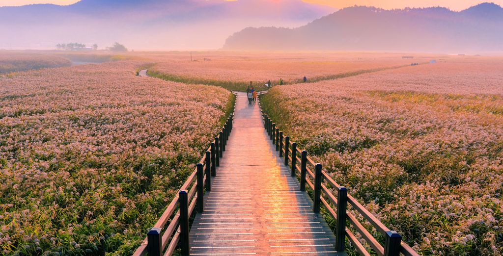 Self-drive tour: The beauty of South Korea - South Korea - Up to 70% ...